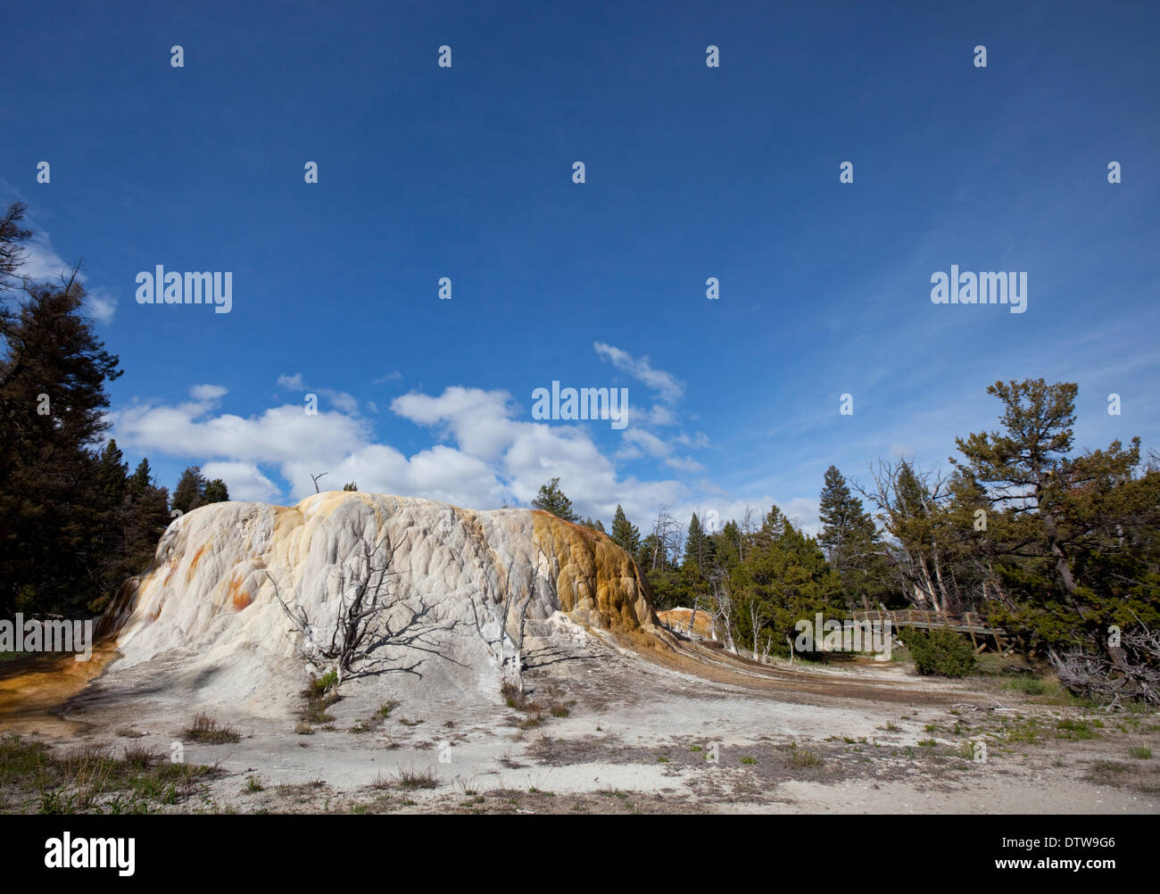 Mammoth hot spring Stock Photo - Alamy