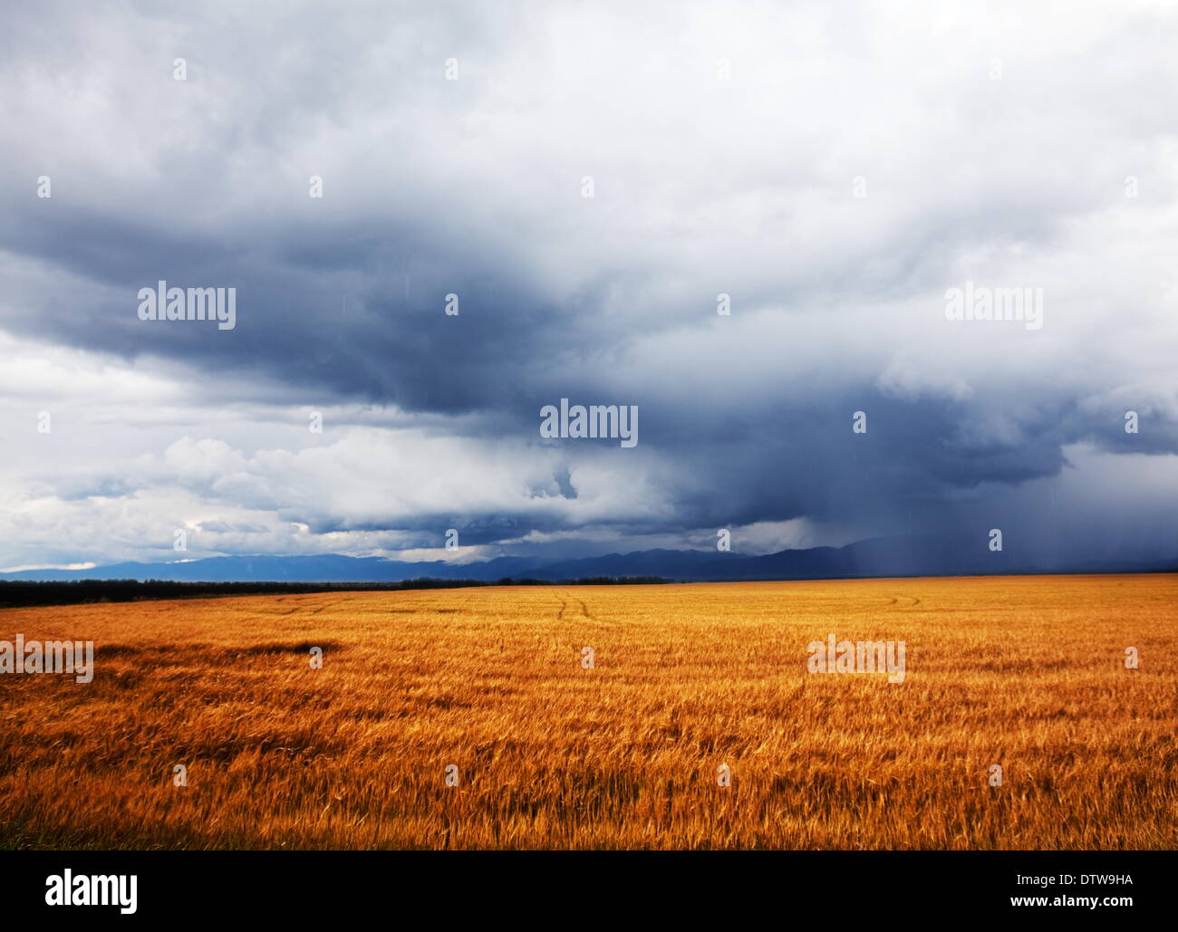 Field in storm Stock Photo - Alamy
