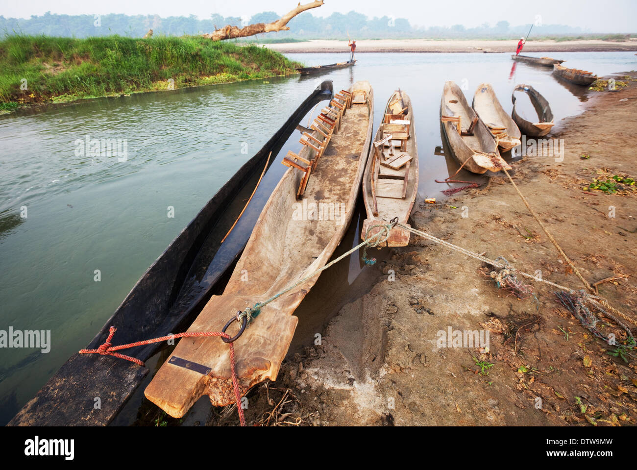 Chitvan national park hi-res stock photography and images - Alamy