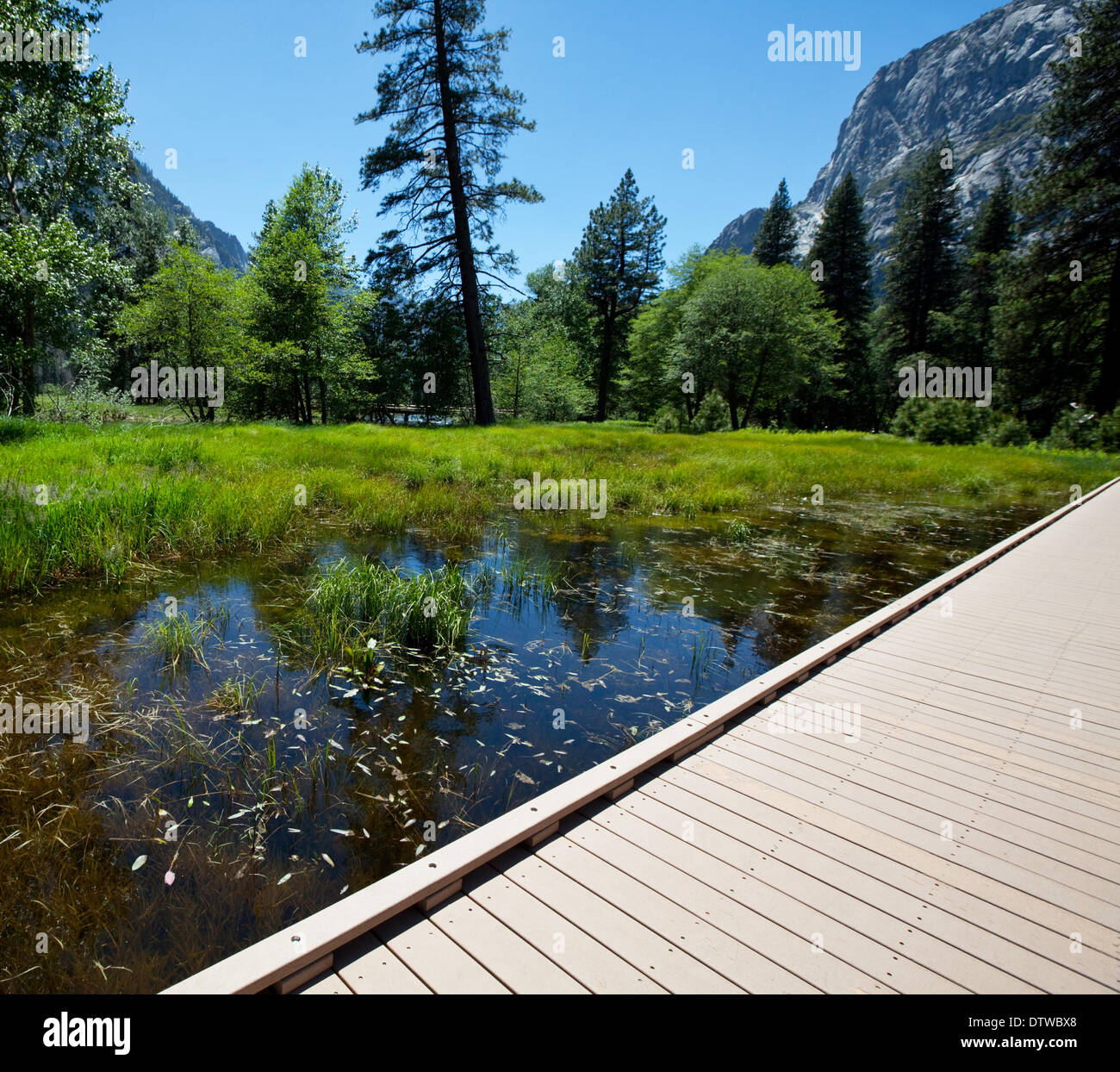 Spring in Yosemite Stock Photo - Alamy