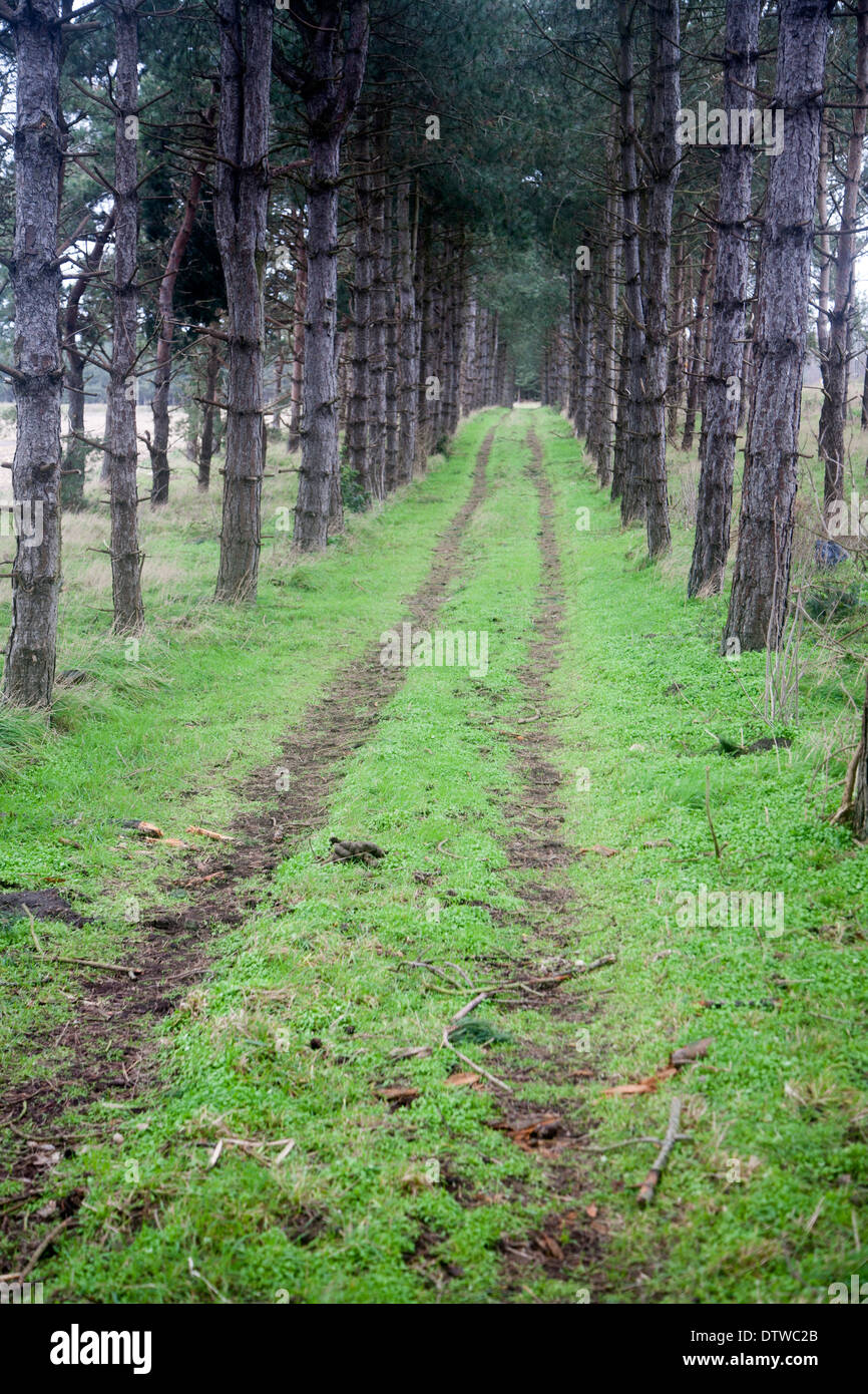 Pathway distance hi-res stock photography and images - Alamy