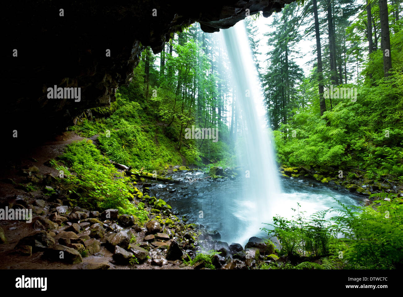 Waterfall in forest Stock Photo - Alamy