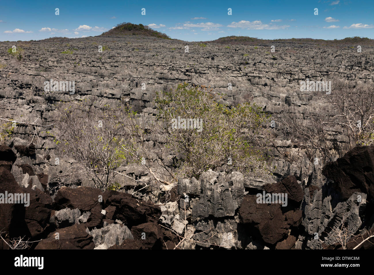 Rary hi-res stock photography and images - Alamy