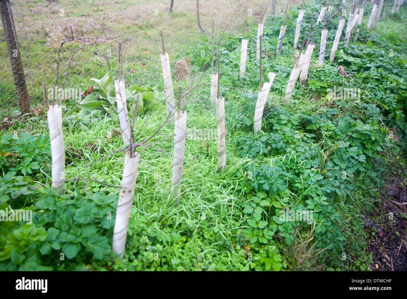 Tubes tubing hi-res stock photography and images - Alamy