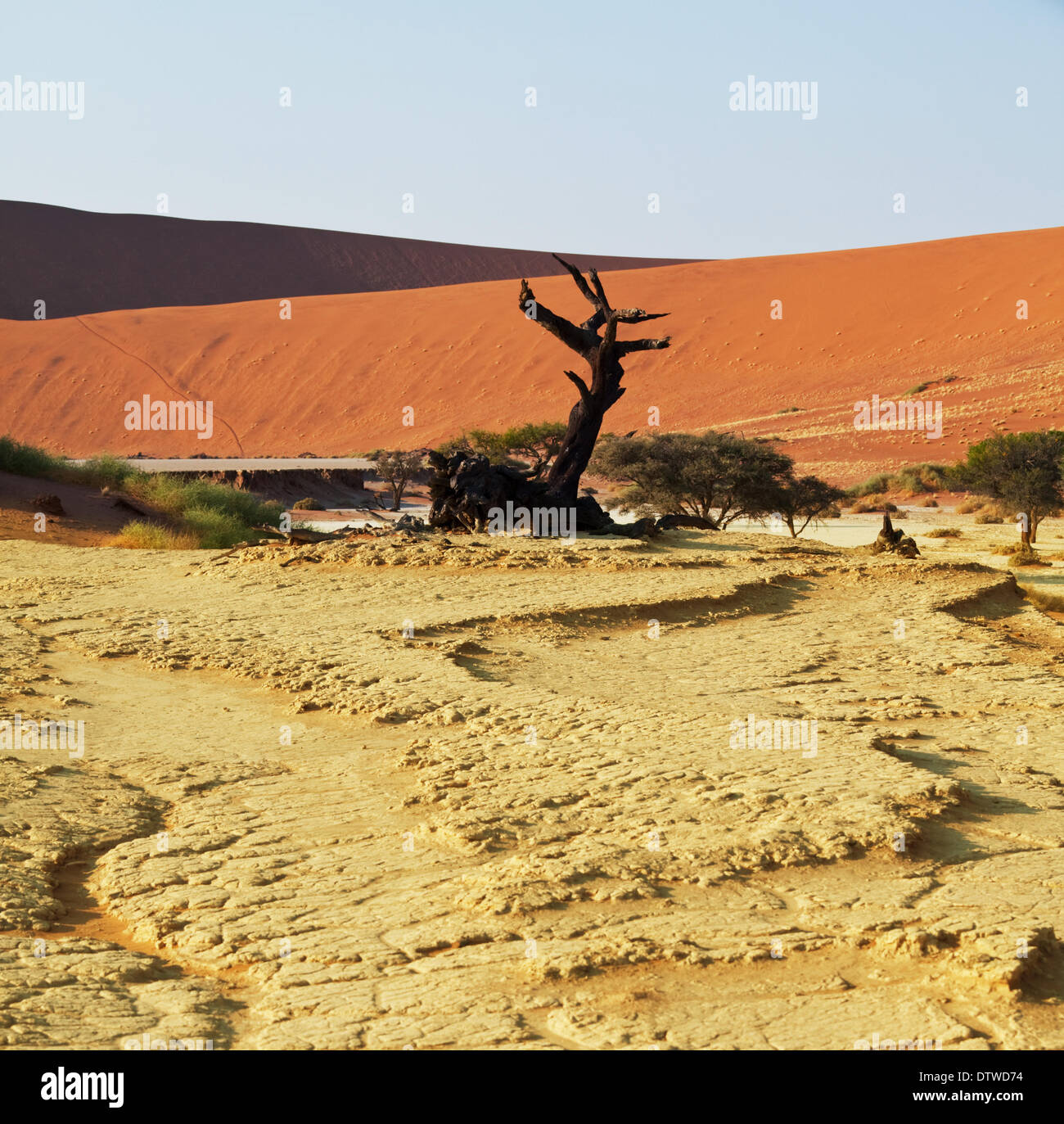 Dead valley in Namibia Stock Photo - Alamy