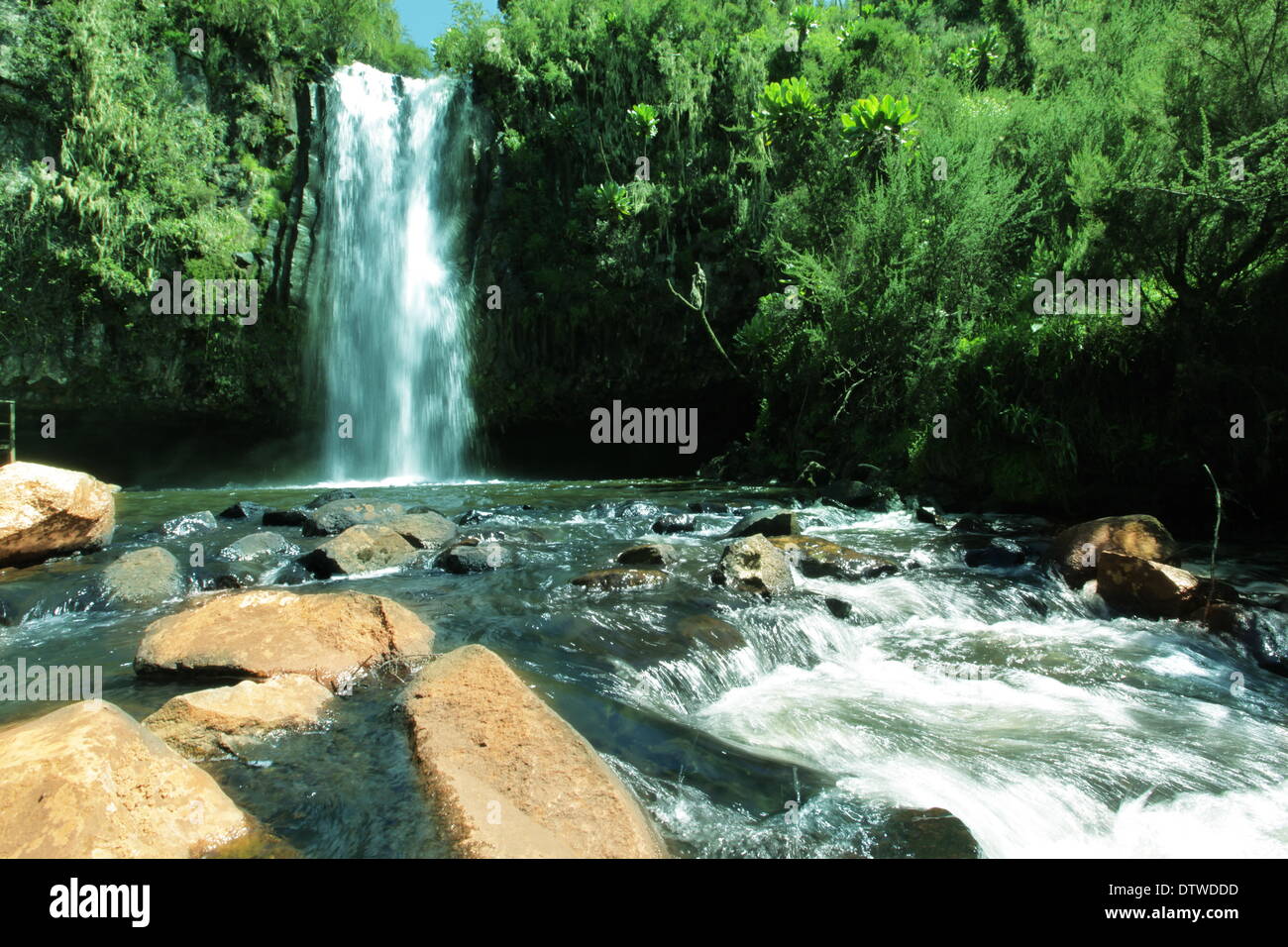 Waterfall in jungle Stock Photo - Alamy