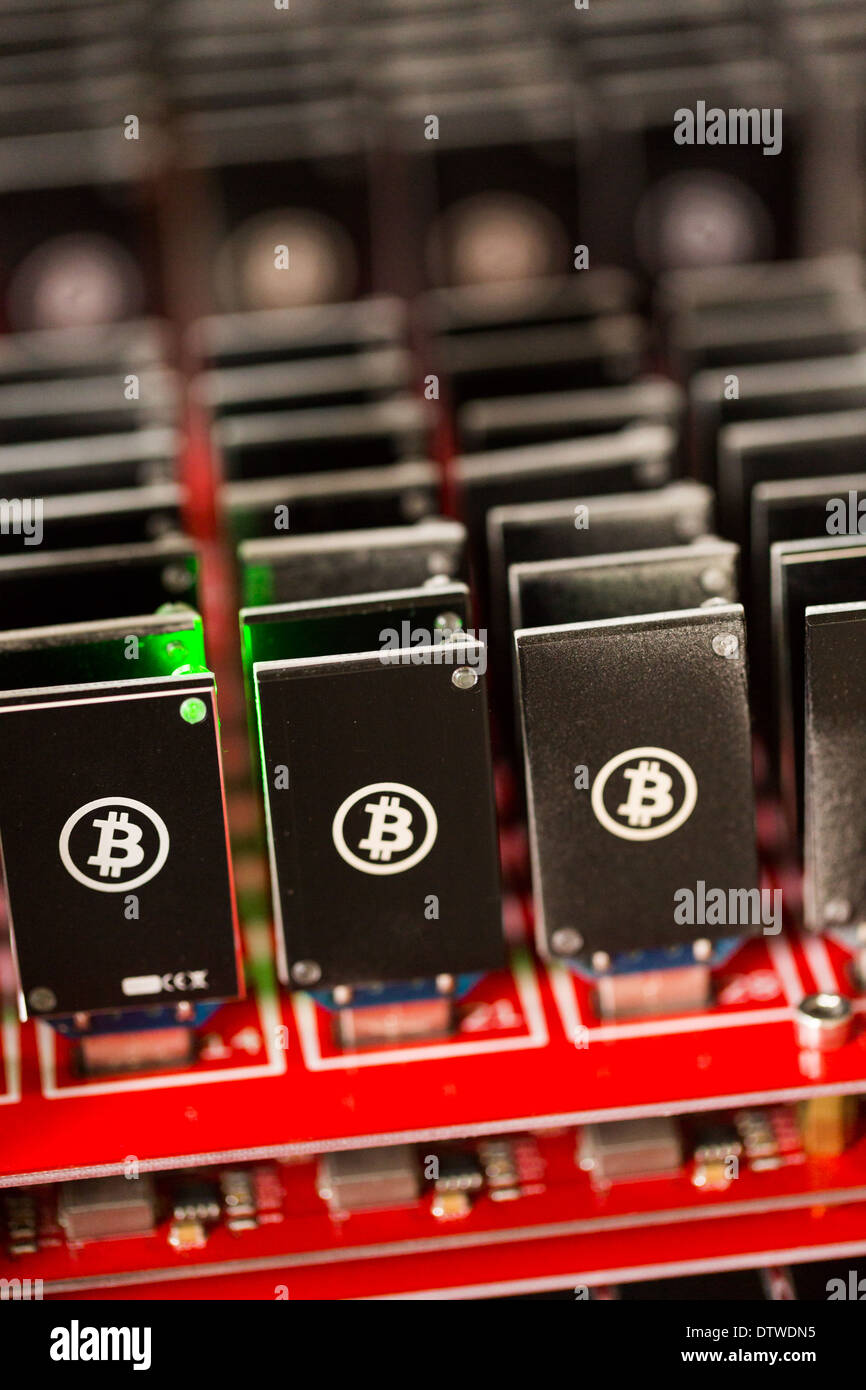Bitcoin mining USB devices on a large USB hub Stock Photo - Alamy