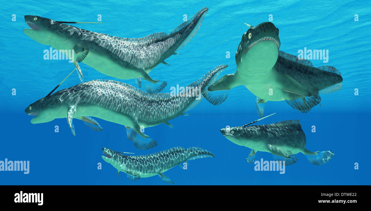 Prehistoric Sharks List