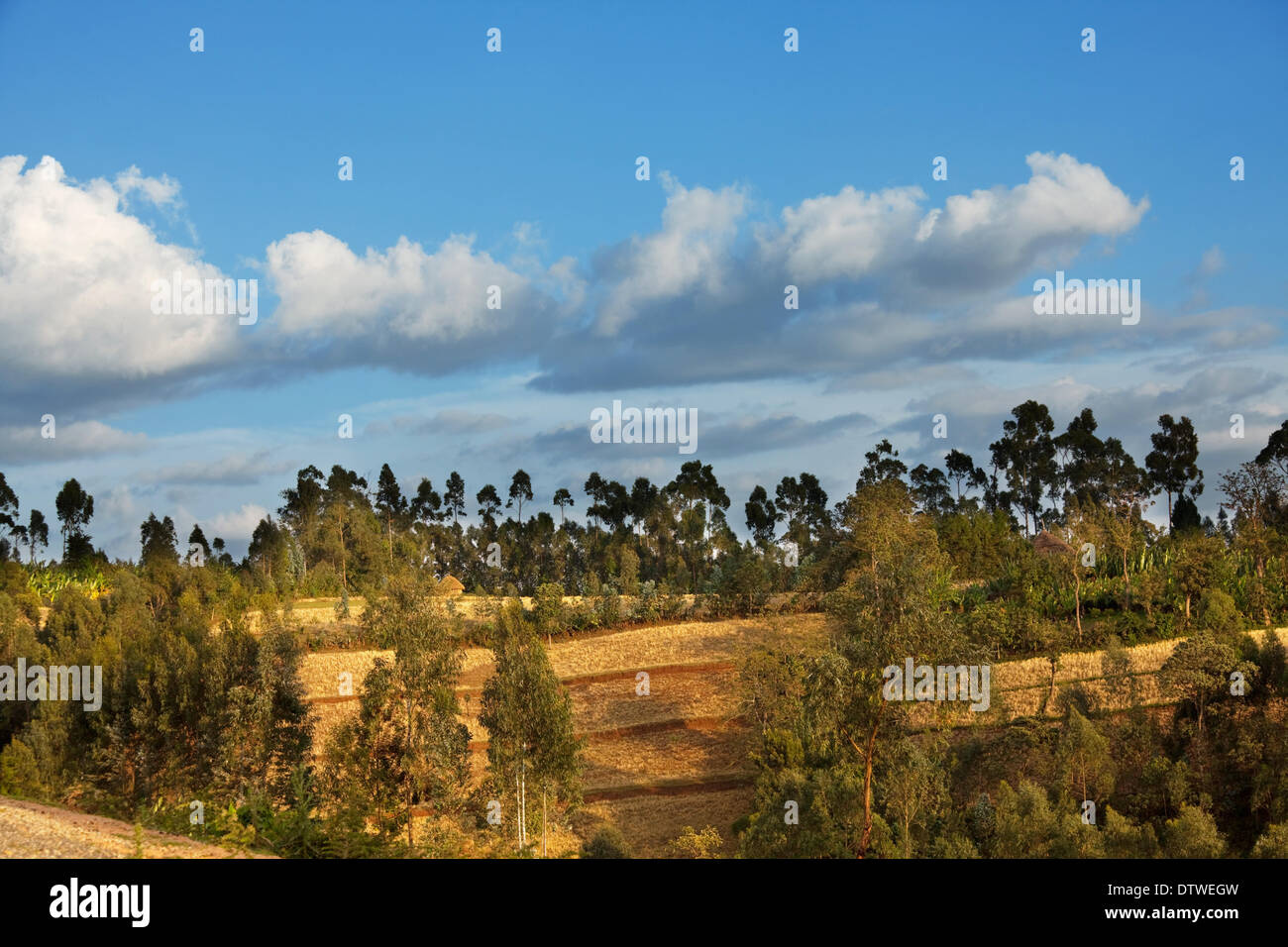Ethiopian environment hi-res stock photography and images - Alamy