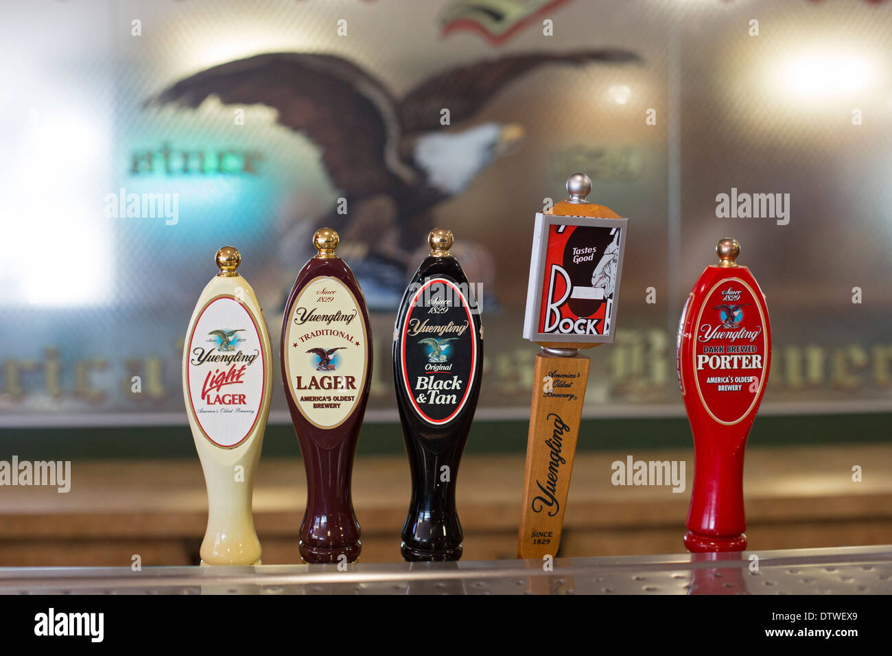Tampa, Florida - Beers on tap in the tasting room at the Yuengling ...
