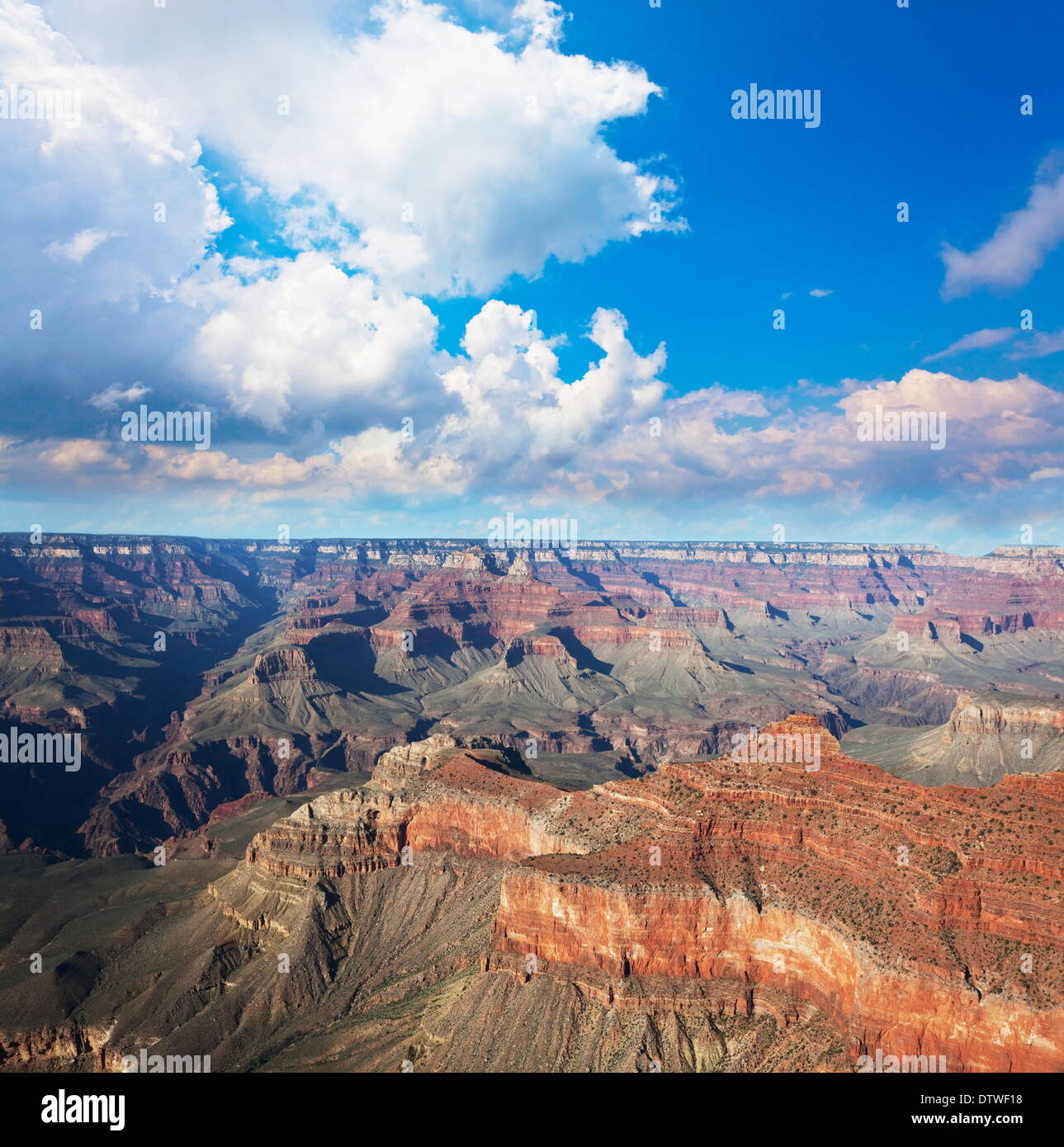 Silhouette tree grand canyon hi-res stock photography and images - Alamy