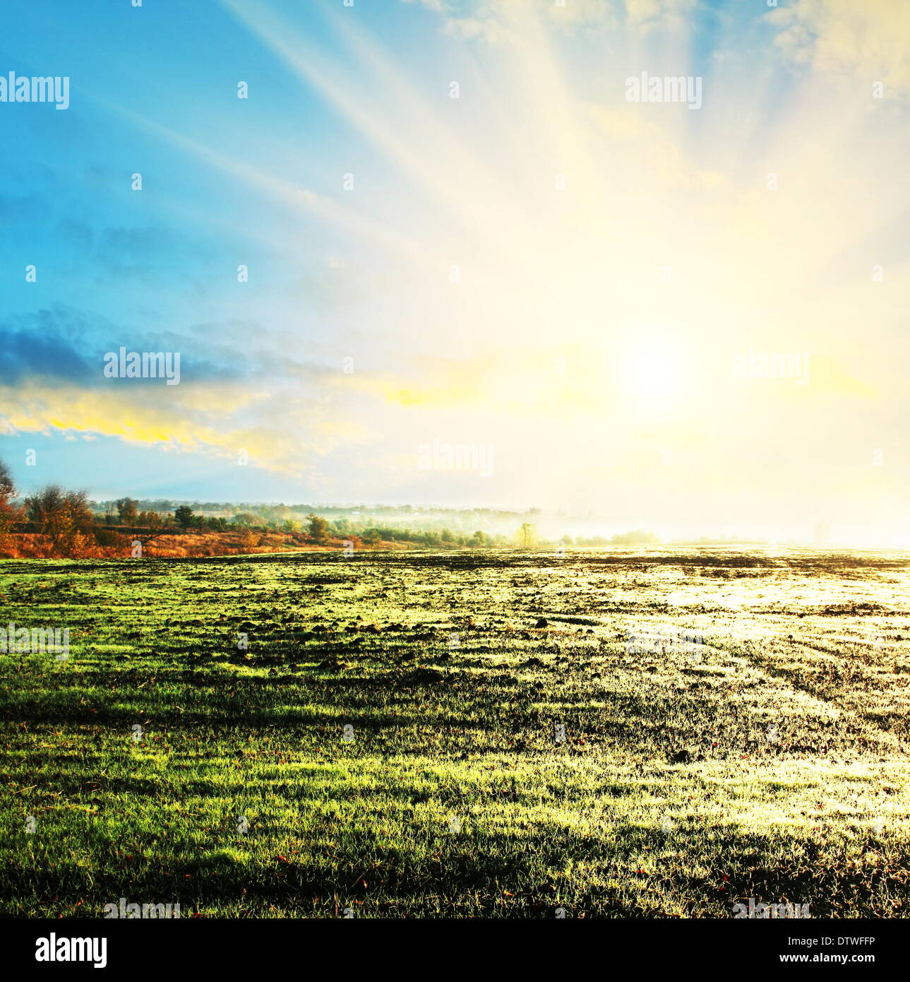Field on sunrise Stock Photo - Alamy