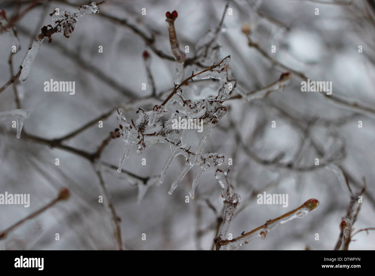 Dripping Ice High Resolution Stock Photography and Images - Alamy