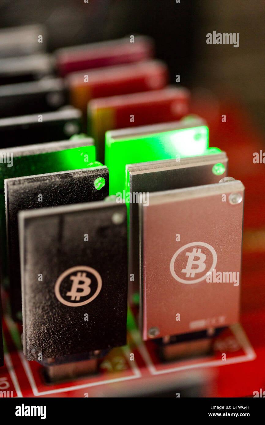 Bitcoin mining USB devices on a large USB hub Stock Photo - Alamy