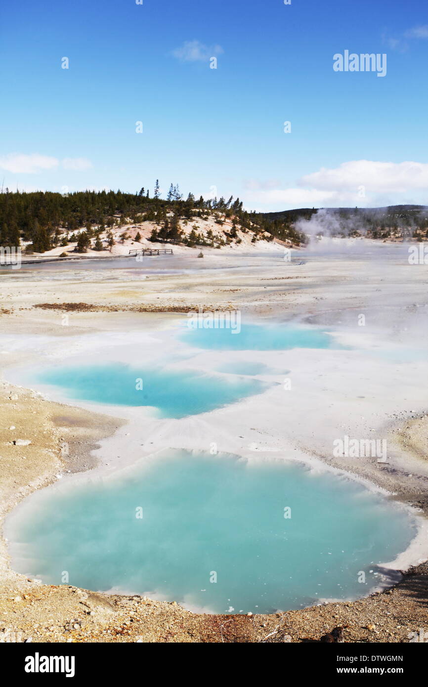 Hot spring in Yellowstone Stock Photo - Alamy
