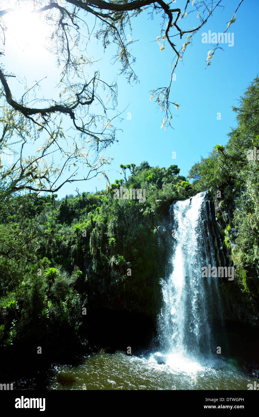 Tropical waterfall in jungle Stock Photo - Alamy