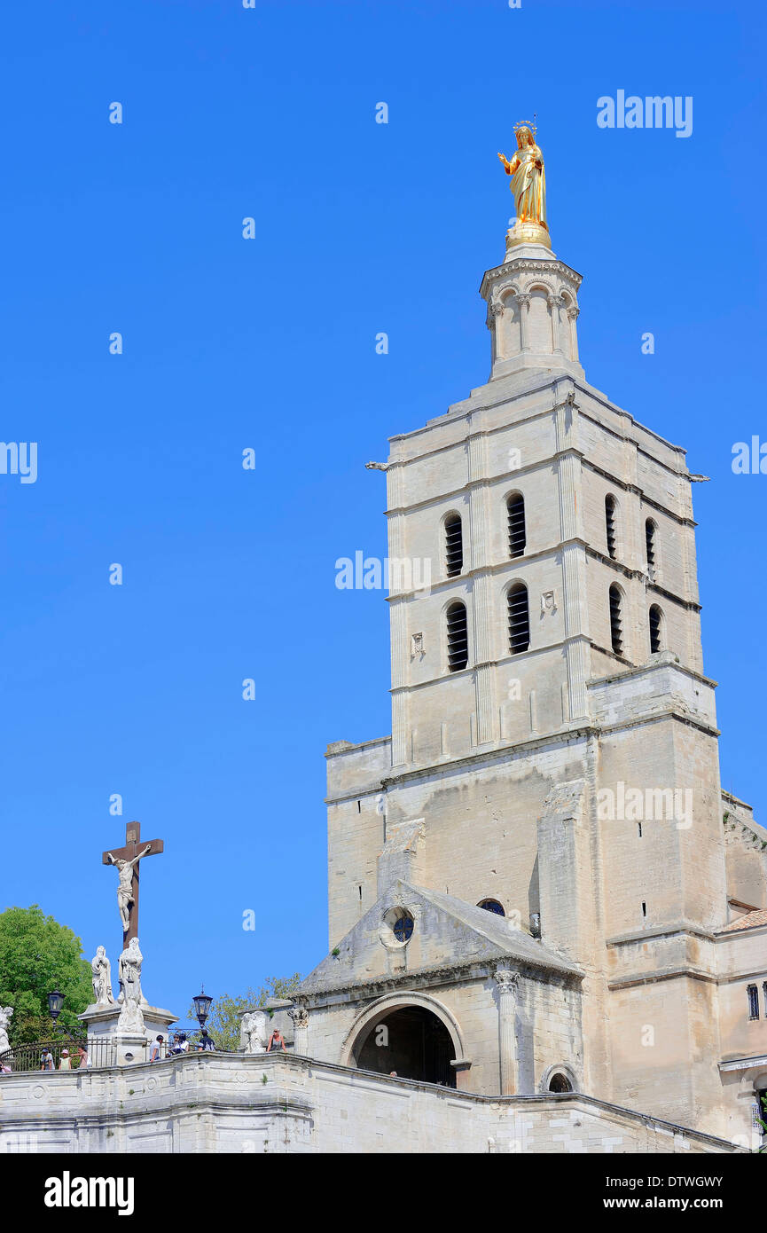 Cathedral Notre-Dame des Doms, Avignon Stock Photo - Alamy