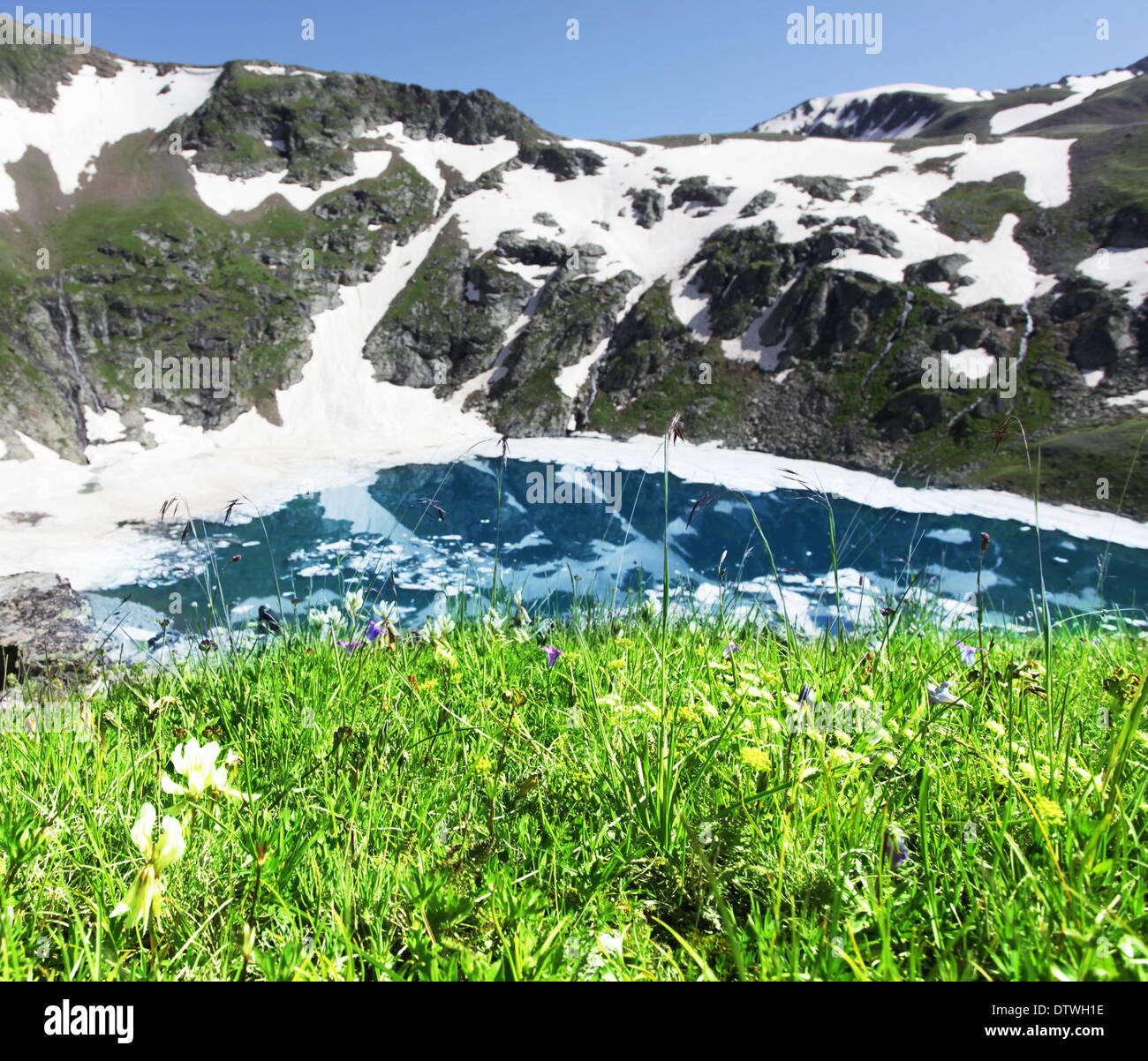 Iceberg meadow hi-res stock photography and images - Alamy