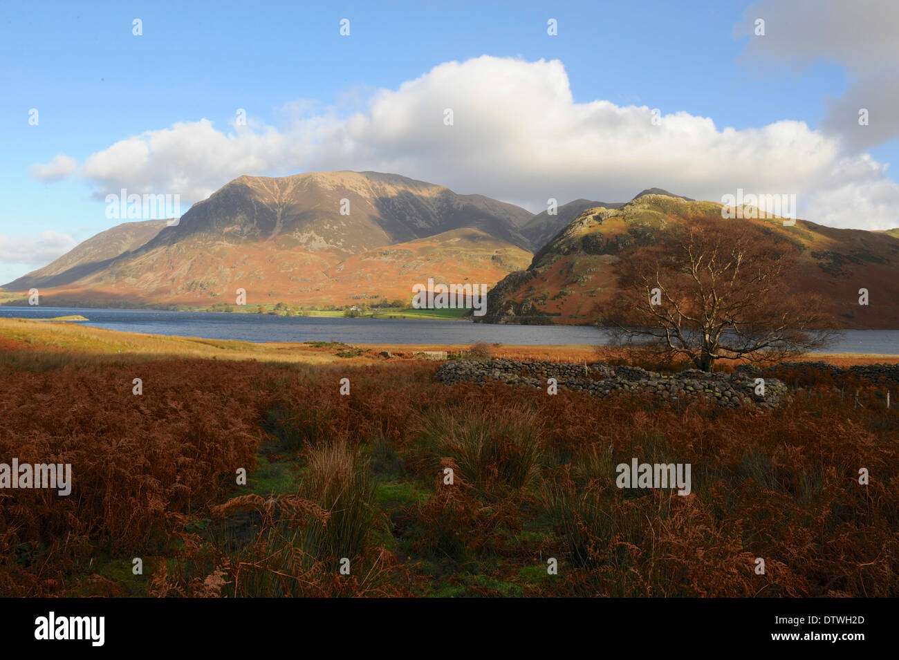 View acoss Crummock Water towards Grasmoor , with autumnal tree ...