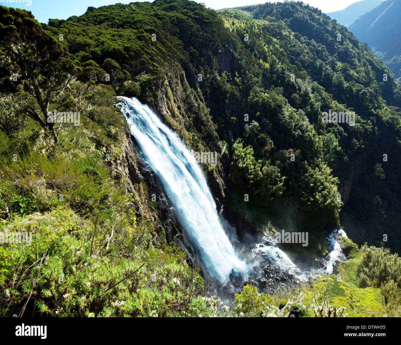 Tropical fall hi-res stock photography and images - Alamy