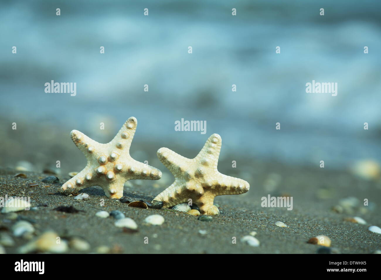 Spark of life hi-res stock photography and images - Alamy