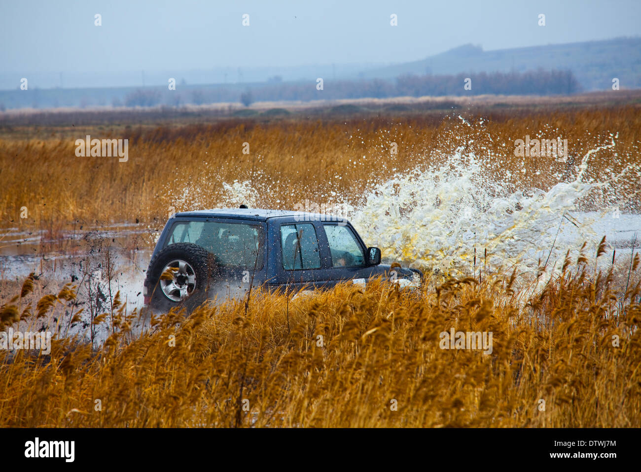 Rase hi-res stock photography and images - Alamy