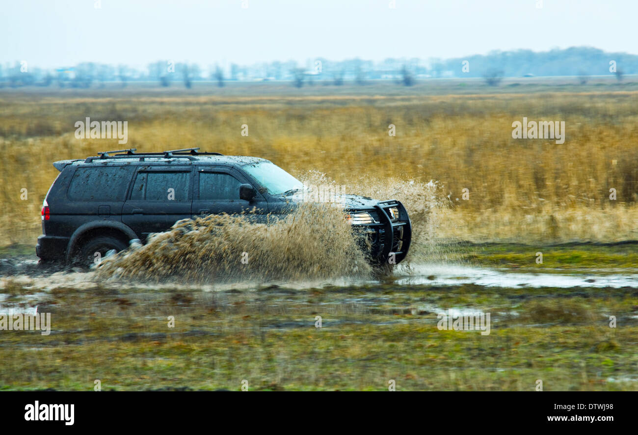 Rase hi-res stock photography and images - Alamy