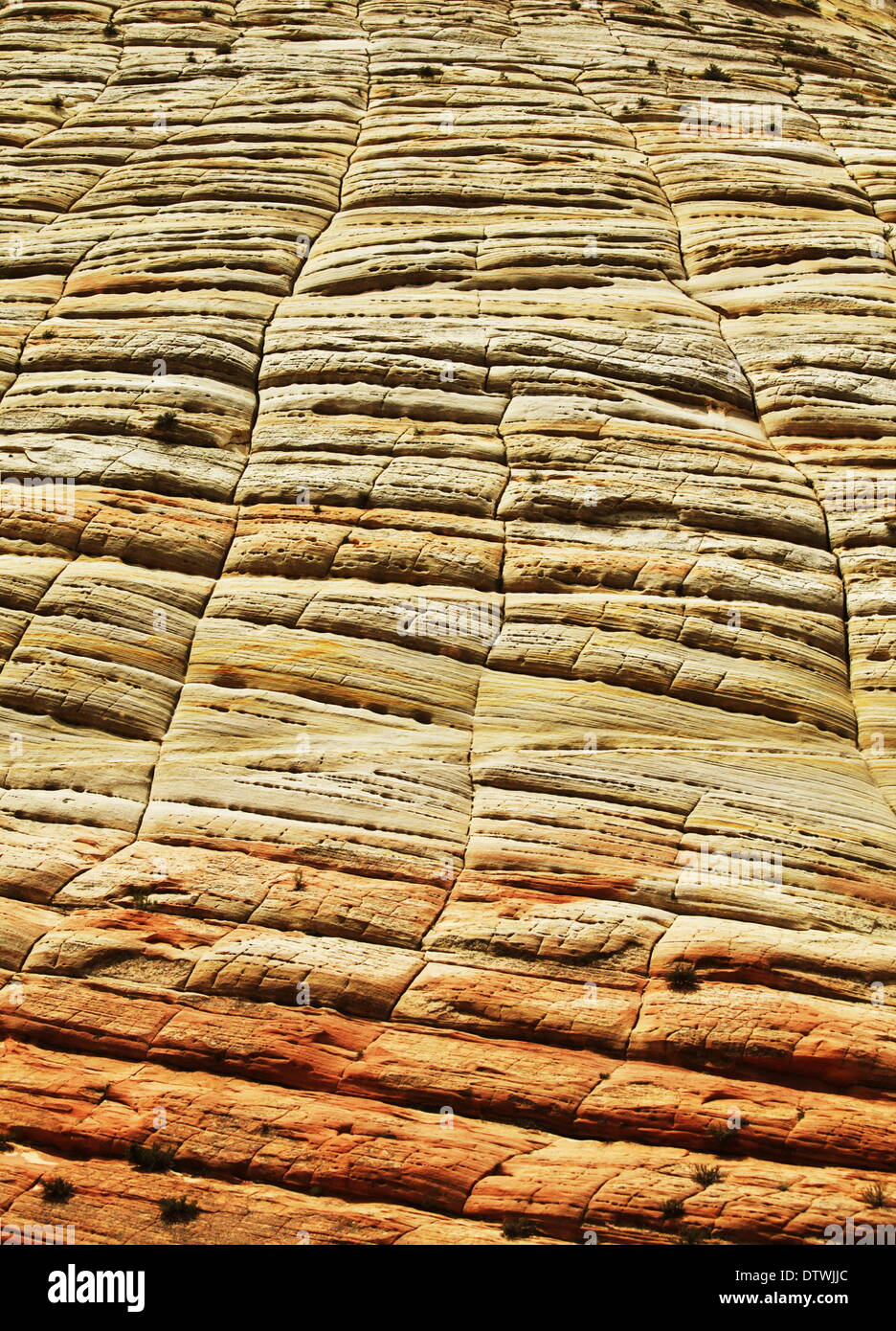 Stone wall texture different forms hi-res stock photography and images ...