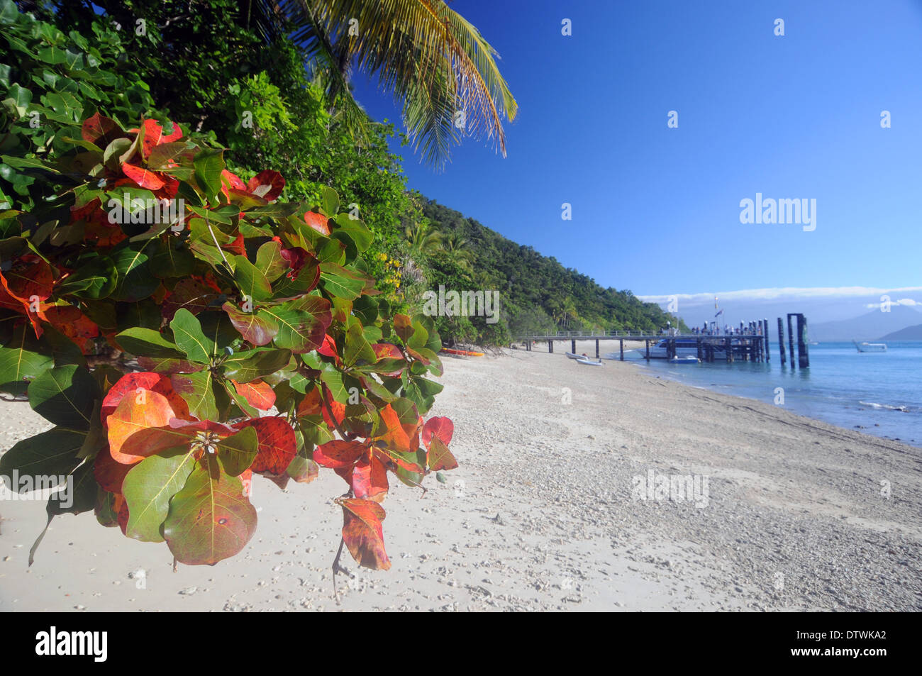 Beach and jetty at Fitzroy Island, Great Barrier Reef Marine Park, near ...