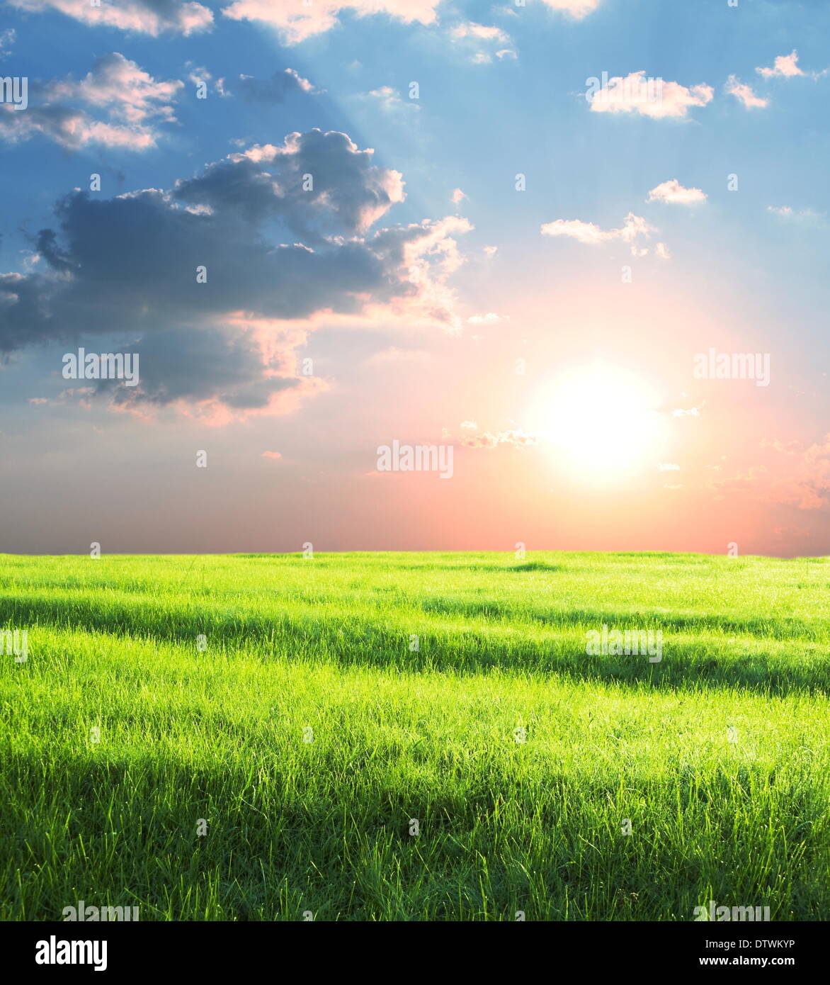 Field on sunset Stock Photo - Alamy
