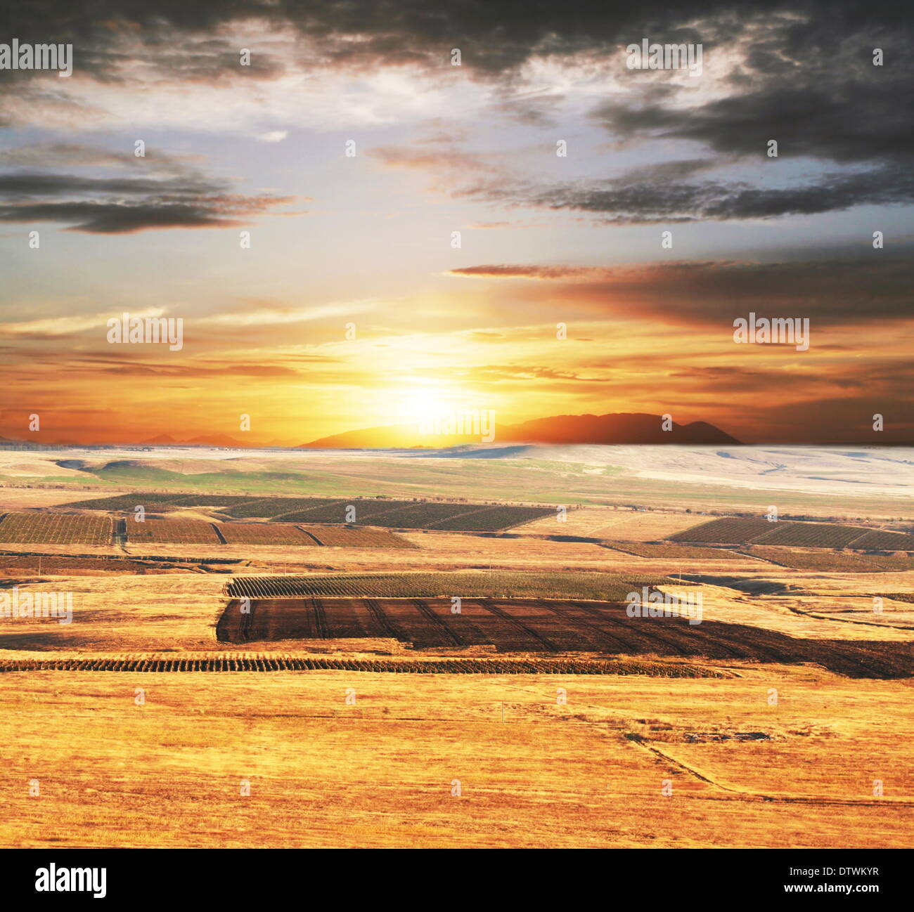 Field on sunset Stock Photo - Alamy