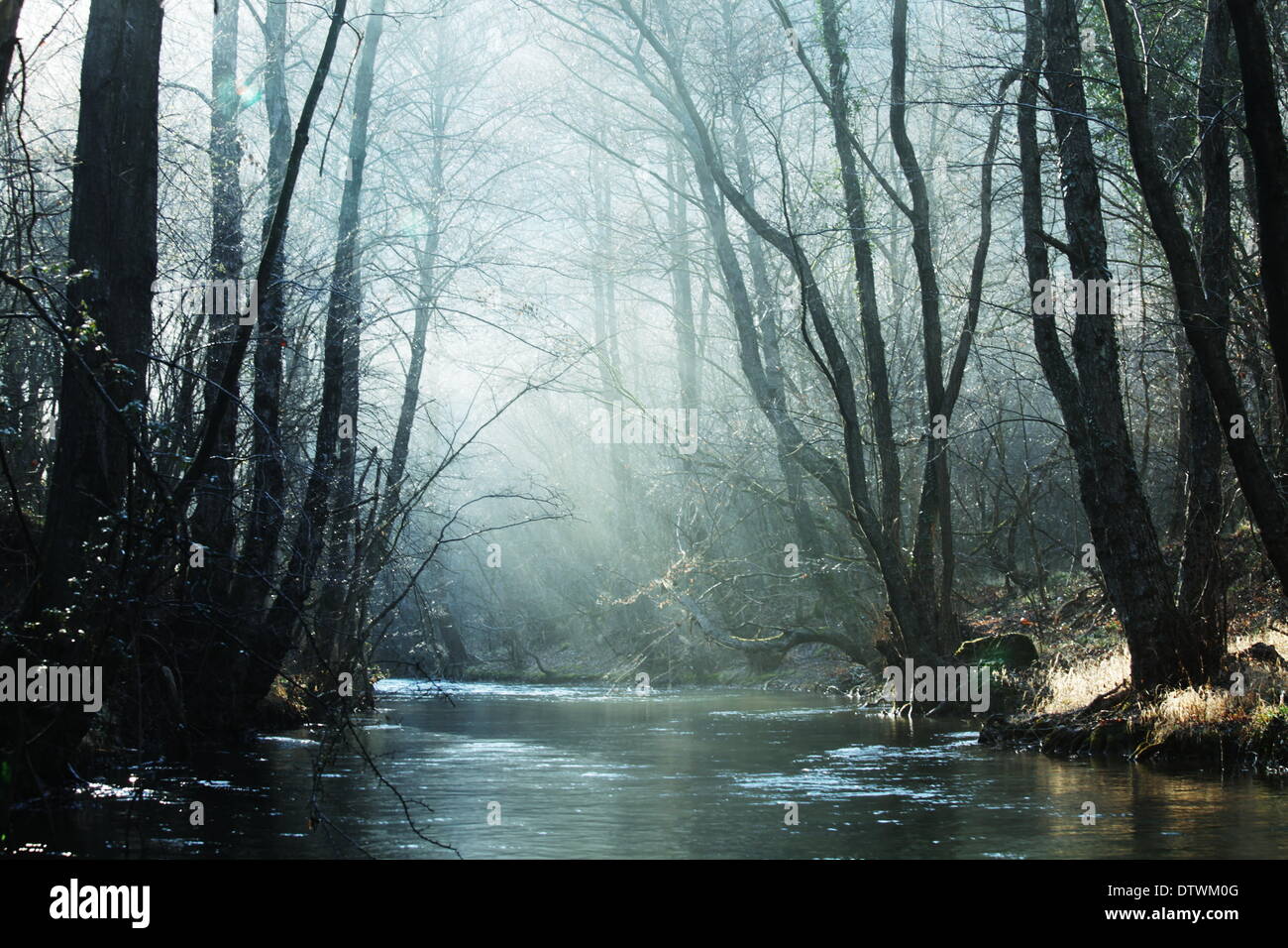 River in morning Stock Photo - Alamy