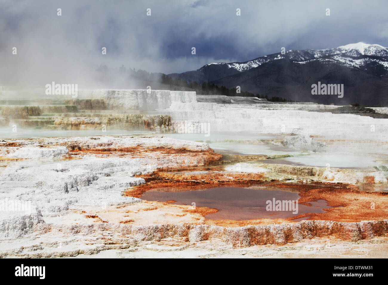 Yellowstone hot spring Stock Photo - Alamy