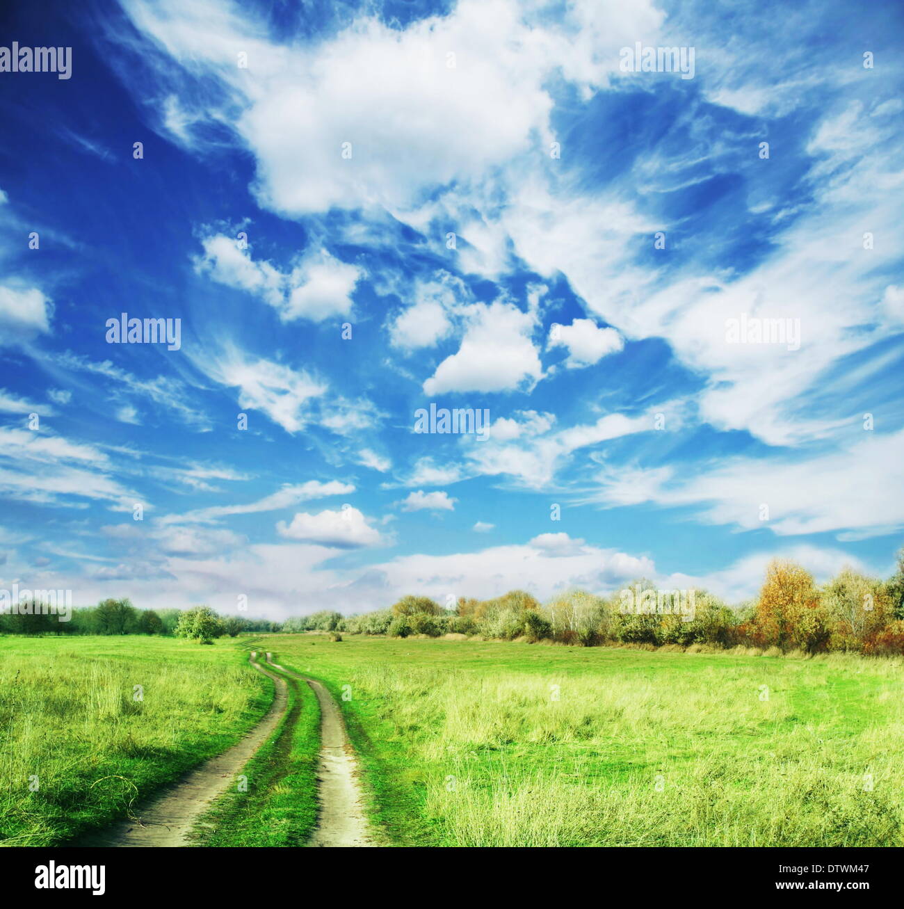 Road in field Stock Photo - Alamy