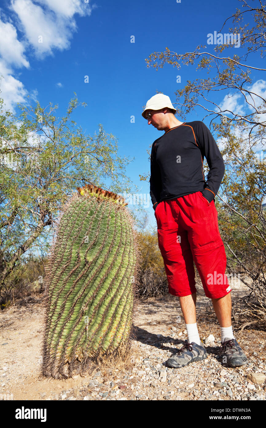 Cactus and man Stock Photo - Alamy
