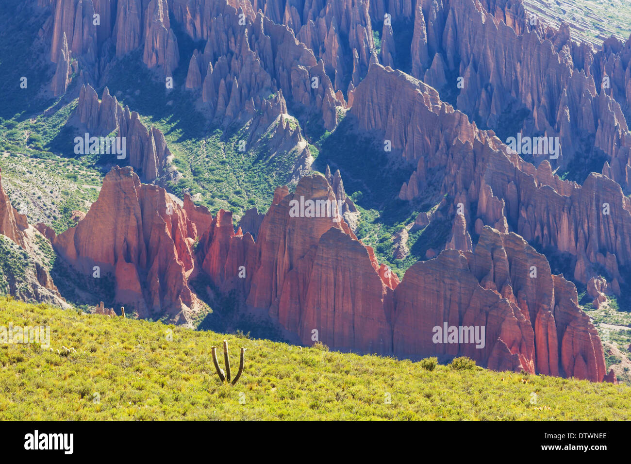 Hudu in Bolivia Stock Photo - Alamy