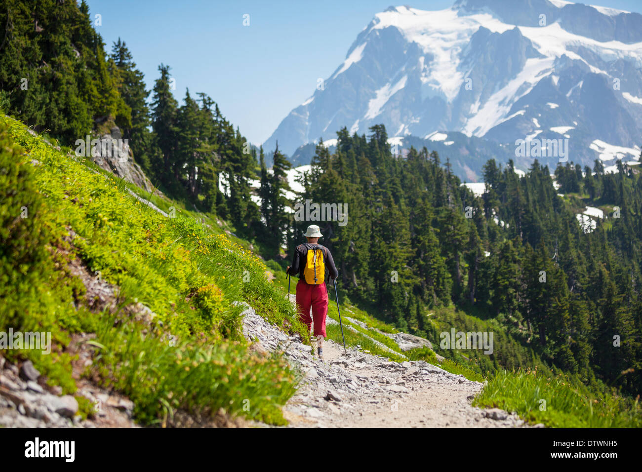 Hike in Baker area Stock Photo - Alamy