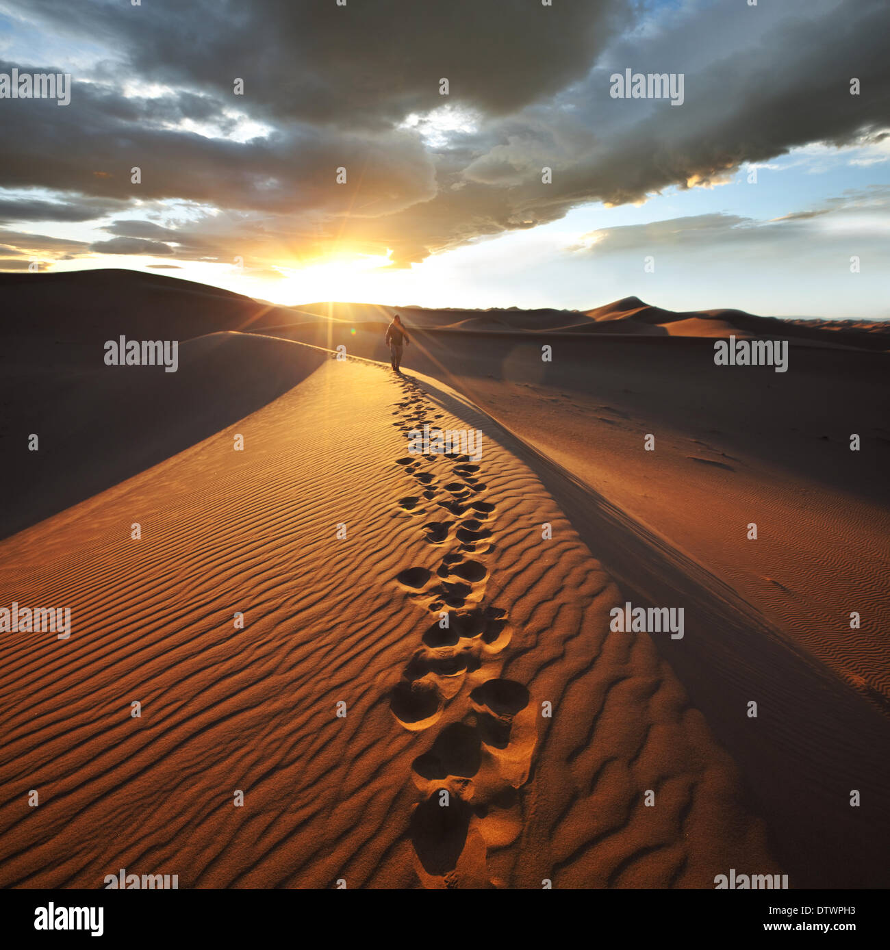 Hike in desert Stock Photo - Alamy