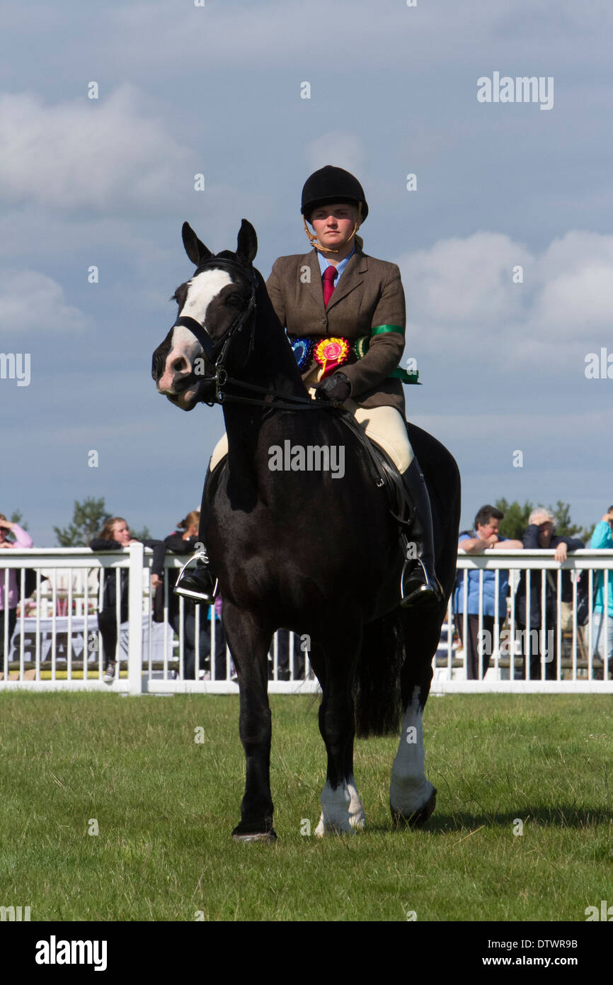 Anglesey show hi-res stock photography and images - Alamy