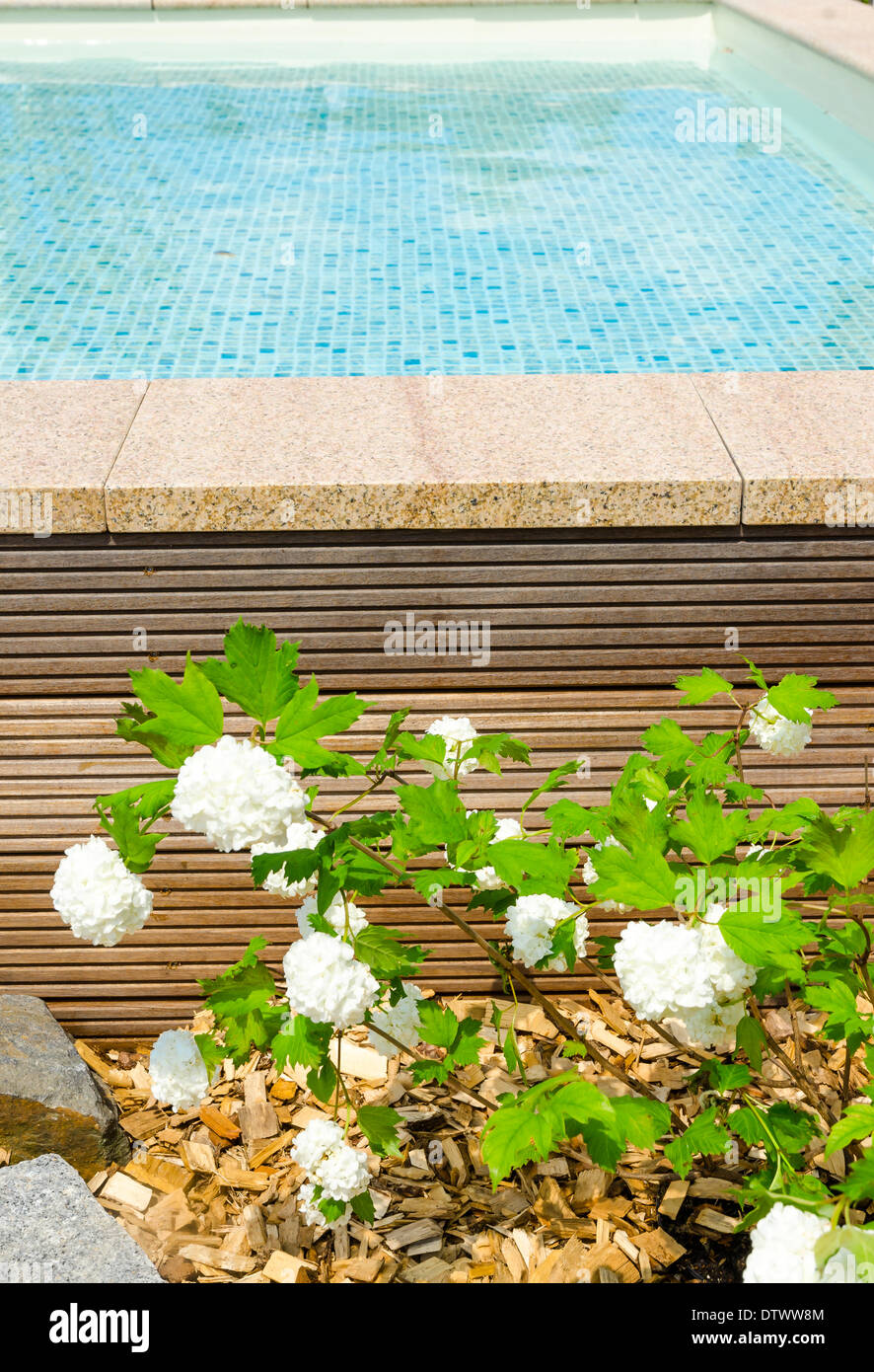 swimming pool and flower Stock Photo - Alamy