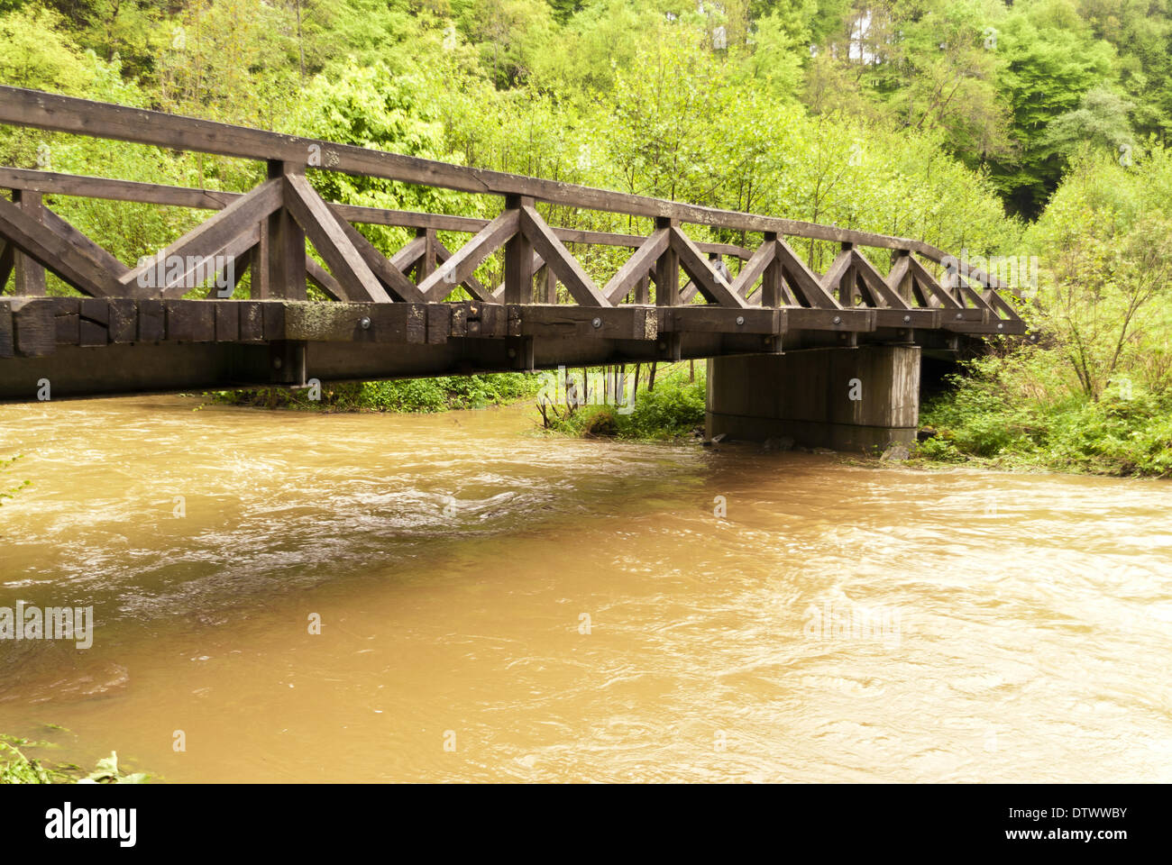 On the Hiking Trail Eifelsteig Stock Photo - Alamy