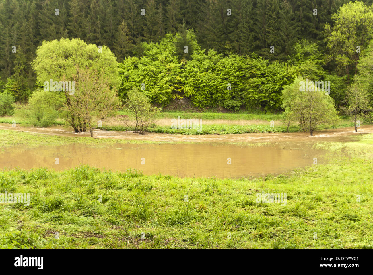 On the Hiking Trail Eifelsteig Stock Photo - Alamy