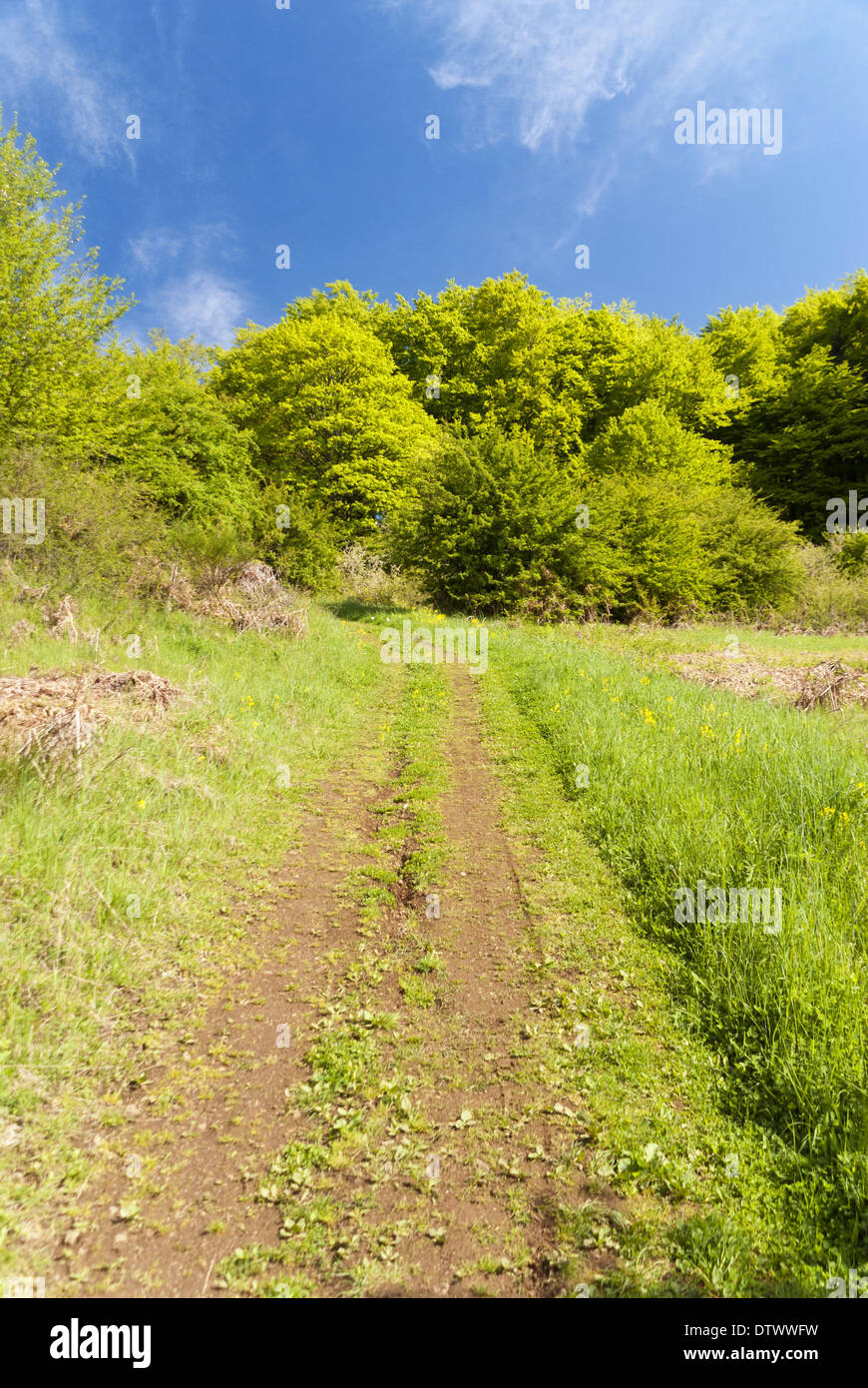 On the Hiking Trail Eifelsteig Stock Photo - Alamy