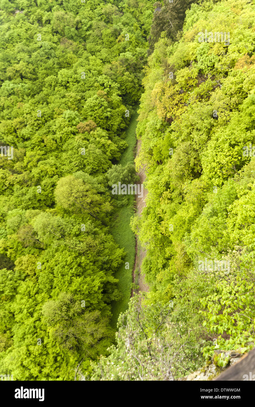 On the Hiking Trail Eifelsteig Stock Photo - Alamy