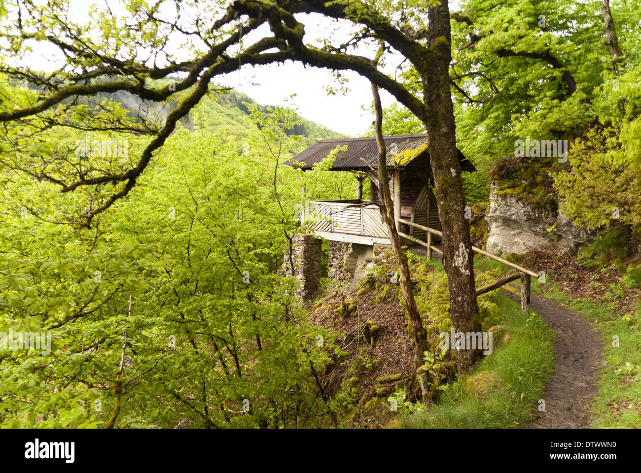 On the Hiking Trail Eifelsteig Stock Photo - Alamy