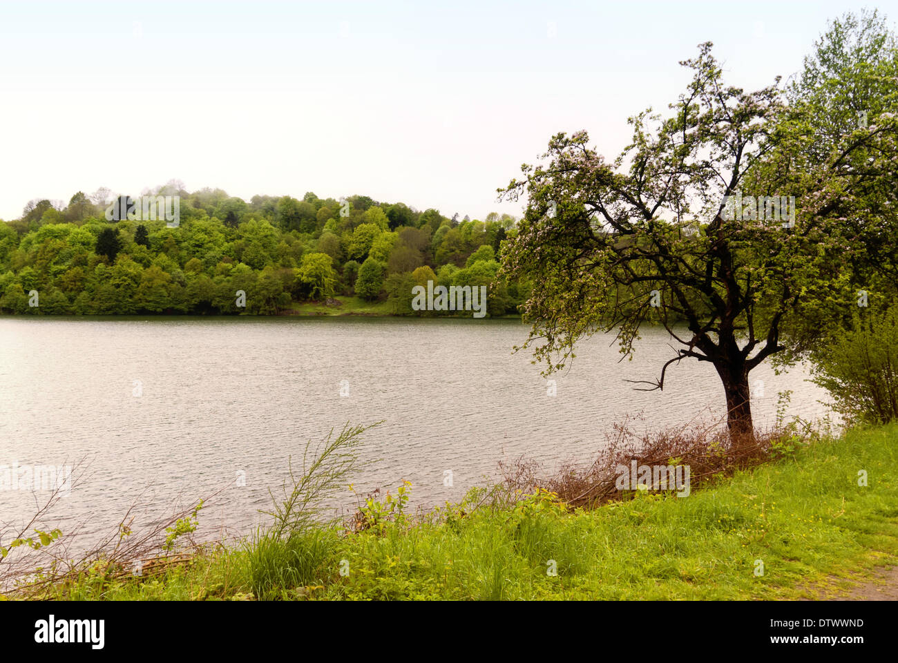 On the Hiking Trail Eifelsteig Stock Photo - Alamy