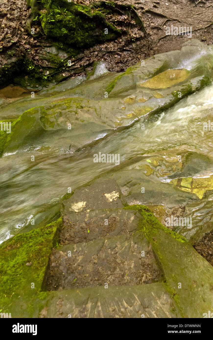 On the Hiking Trail Eifelsteig Stock Photo - Alamy