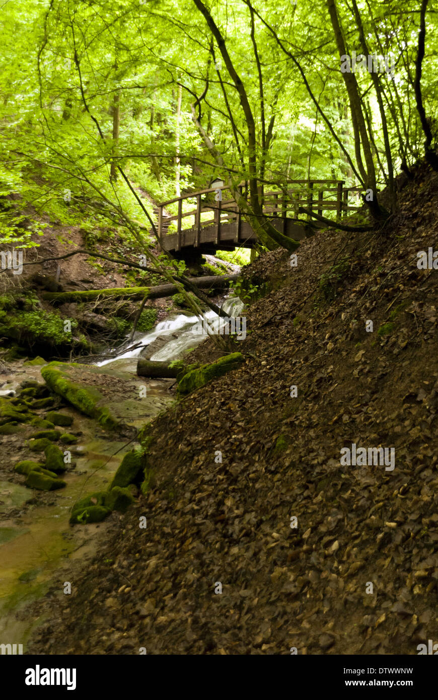 On the Hiking Trail Eifelsteig Stock Photo - Alamy
