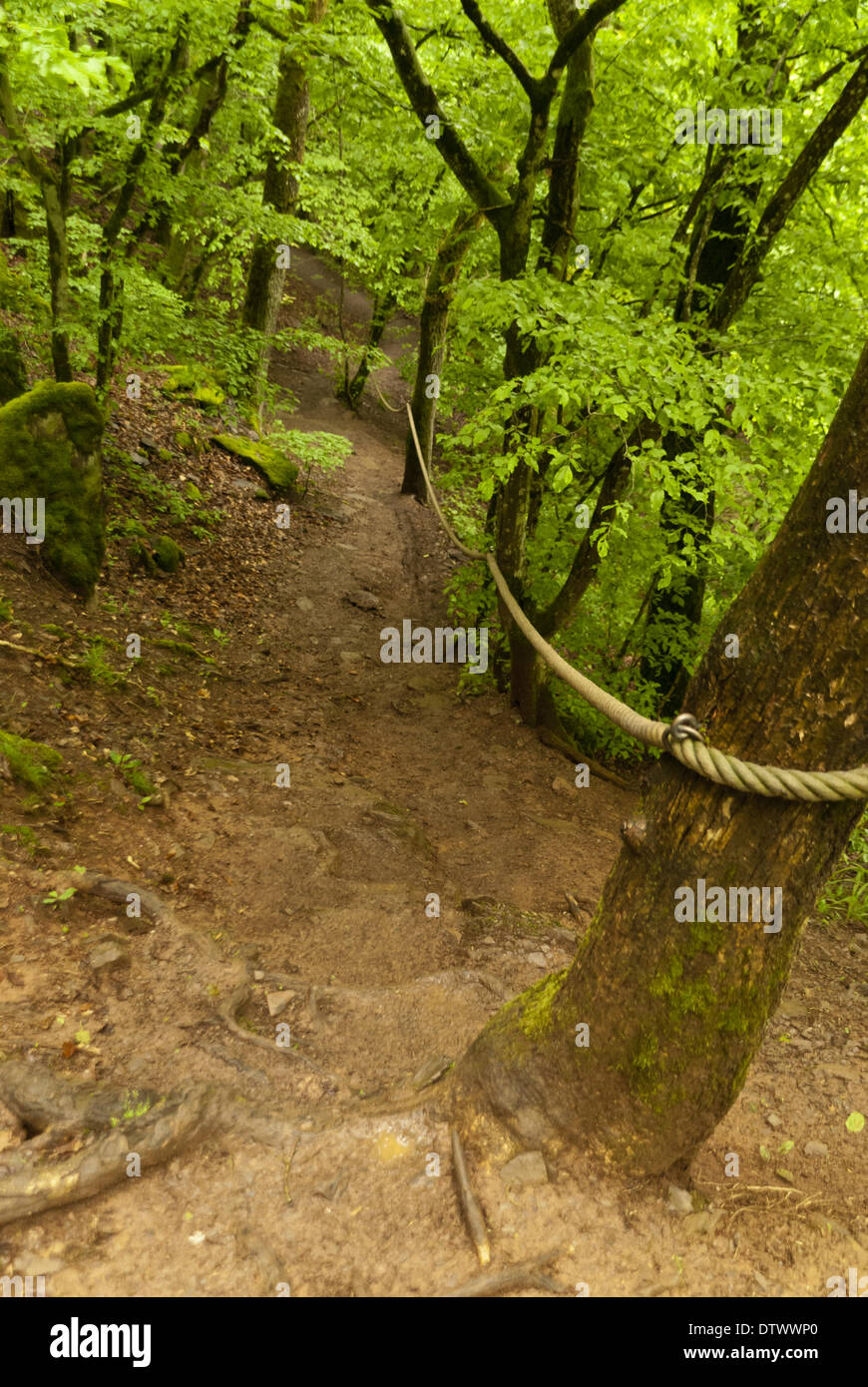 On the Hiking Trail Eifelsteig Stock Photo - Alamy