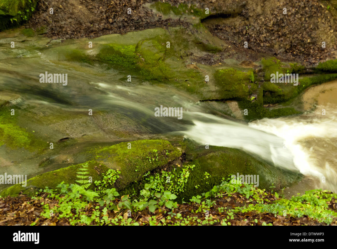 On the Hiking Trail Eifelsteig Stock Photo - Alamy